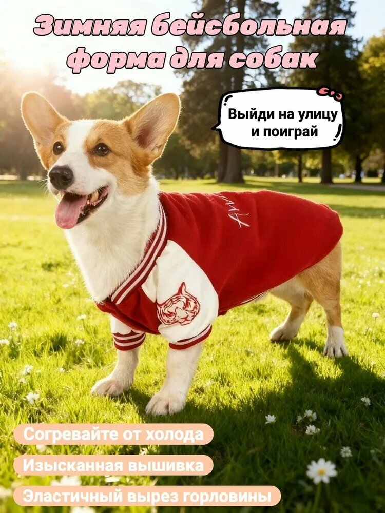 Комбинезон бейсбольный для собак такса корги, зимний, утепленный, из флиса, с вышивкой, для прогулок на улице