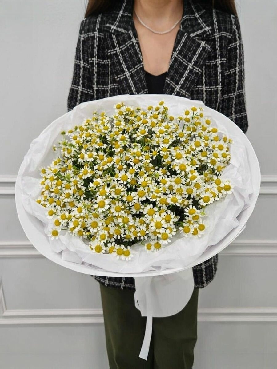 Полевой букет ромашек