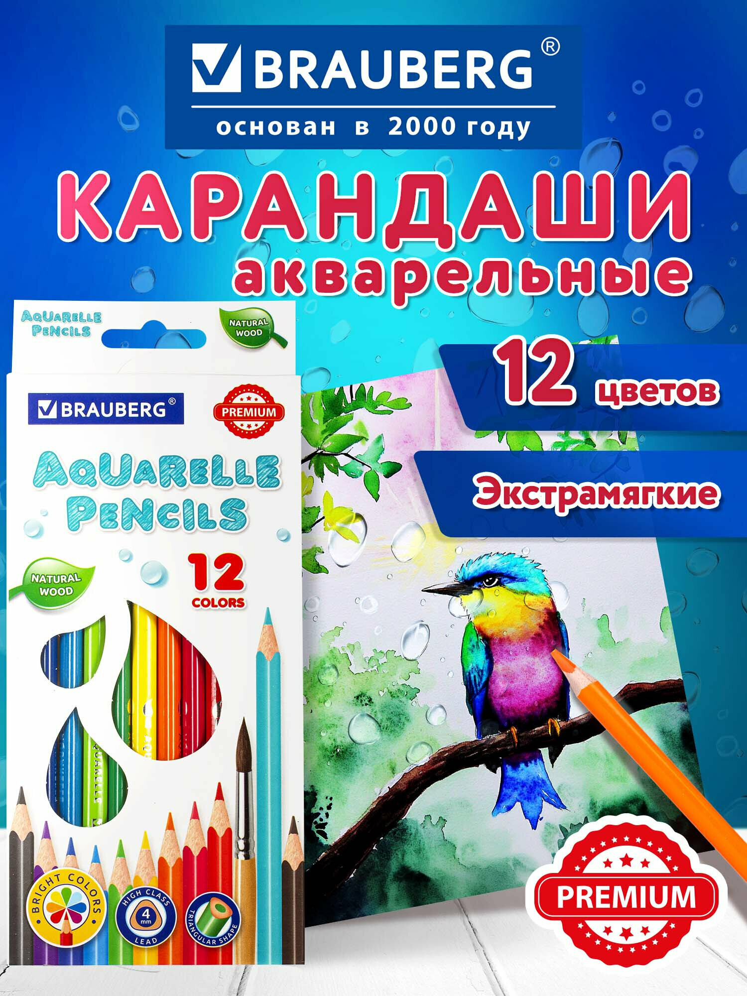 Карандаши акварельные цветные для рисования Brauberg Premium Aquarelle, 12 цветов, трехгранные, утолщенный грифель 4 мм, натуральное дерево, 181671