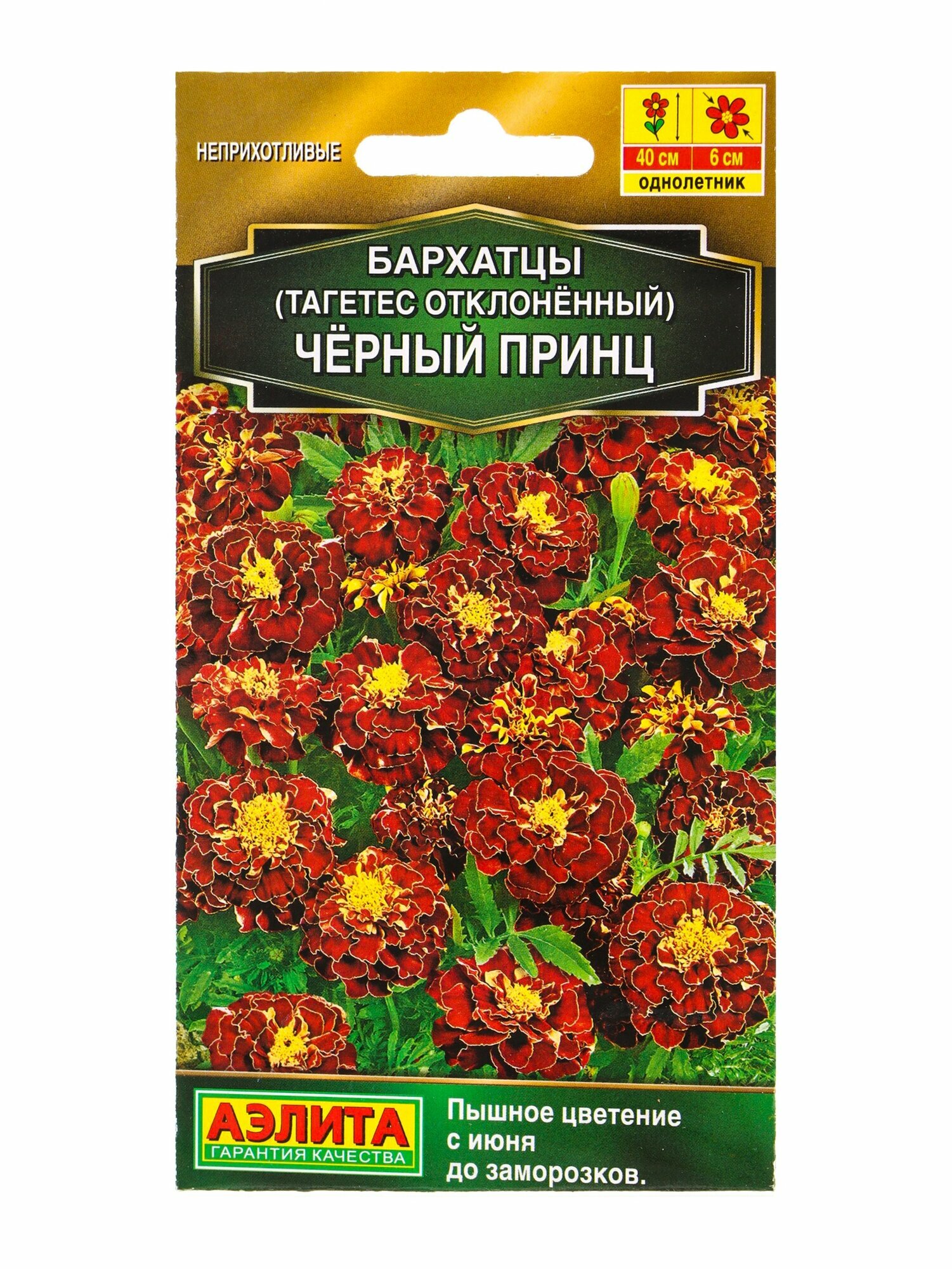 Семена цветов Бархатцы «Черный принц» отклоненные, 0.3 г