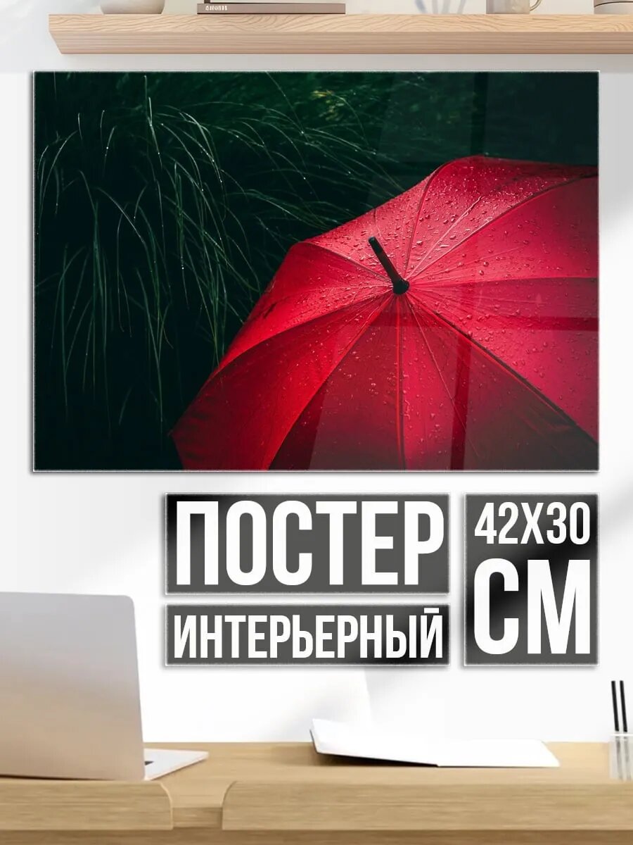 Плакат постер красный зонт