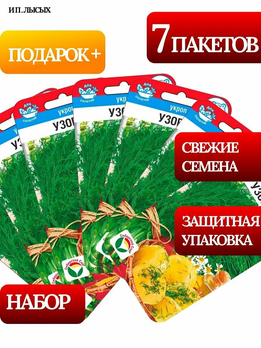 Семена Укроп "Узоры"