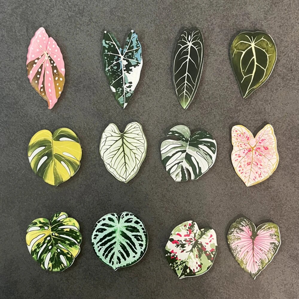 12 шт, милые магниты на холодильник Begonia Monstera, каваи, тропические растения, магниты на холодильник, доска, декоративные наклейки