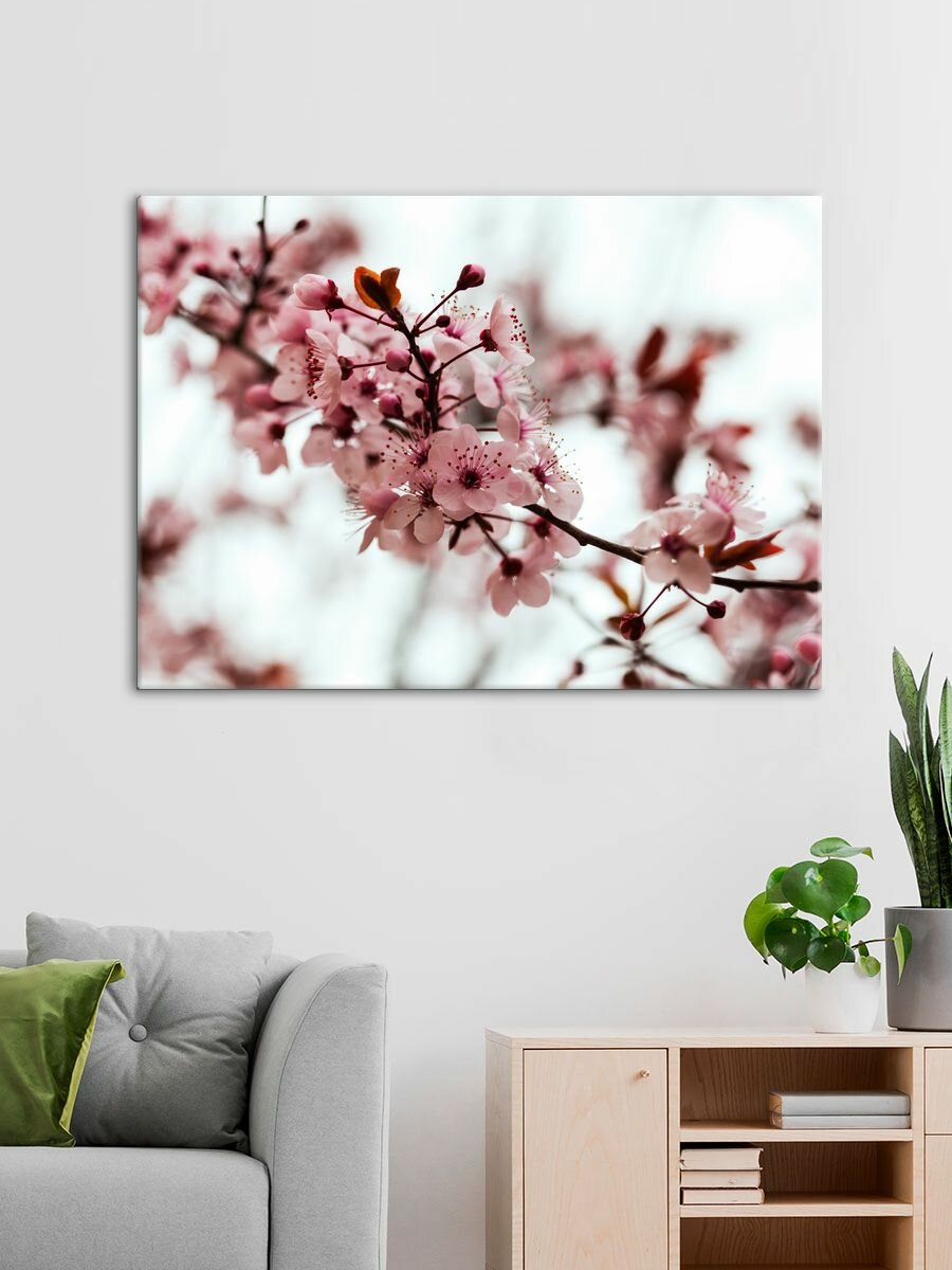 Картина на стену "Сакура", 50х70 см
