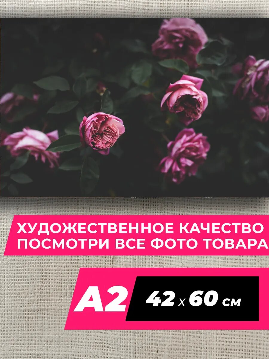 Постер пионы на стену 23 Paeonia A2, матовая фотобумага премиум качества