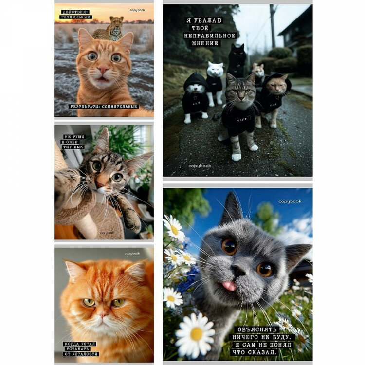 Тетрадь А5 клетка 48 листов скоба (Prof-Press) Коты мемы мелованная обложка ассорти арт. Т48-9122. Количество в наборе 5 шт.