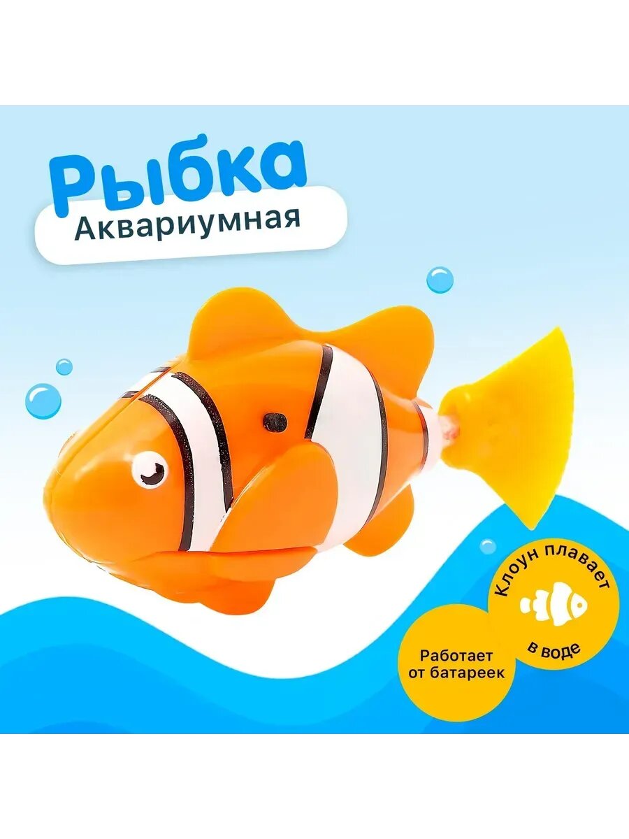 Аквариумная рыбка "Клоун", плавает в воде