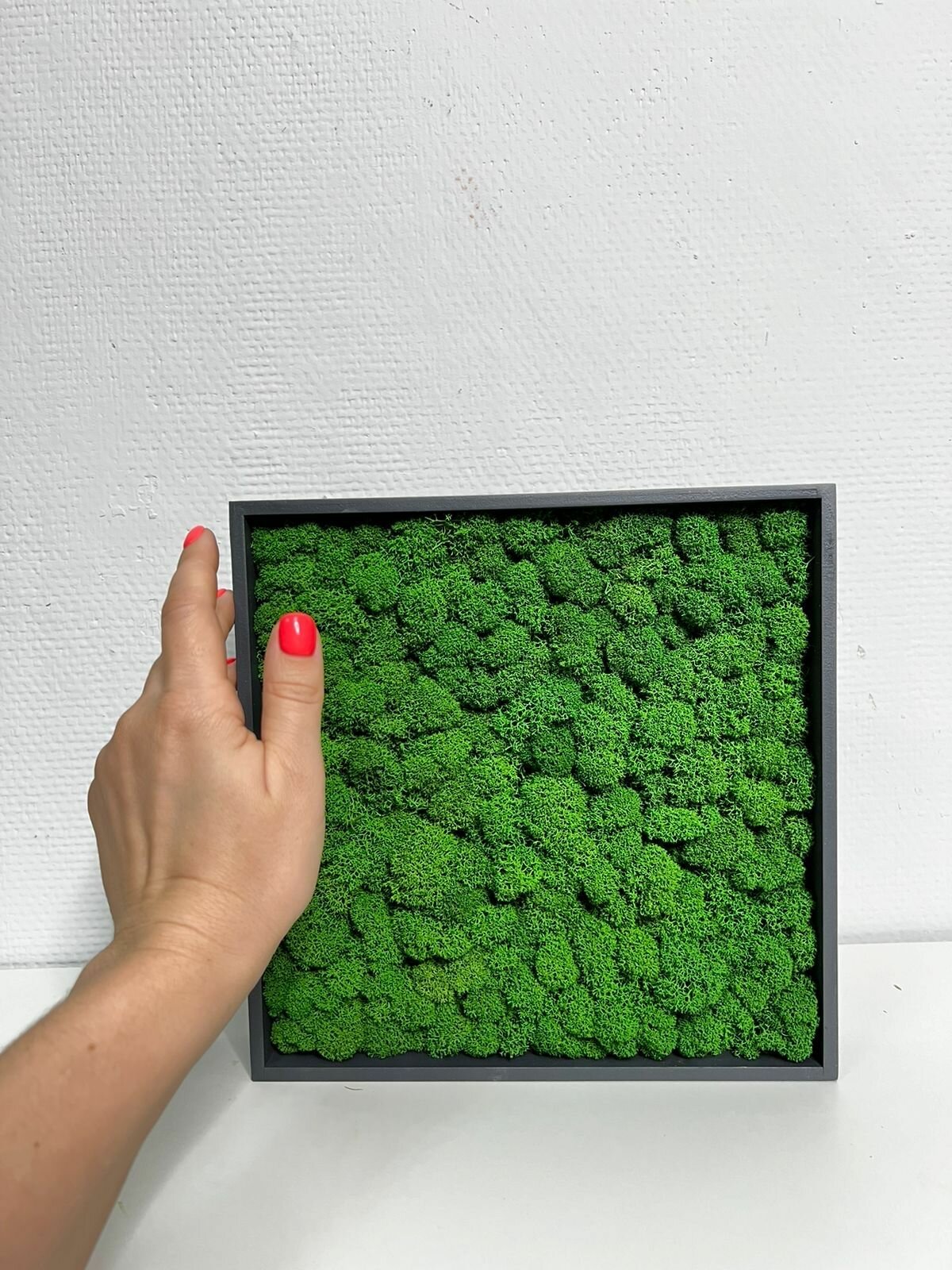 Рамка со мхом и растениями 25 см MyMossLife, стабилизированный мох, панно с мохом, картина