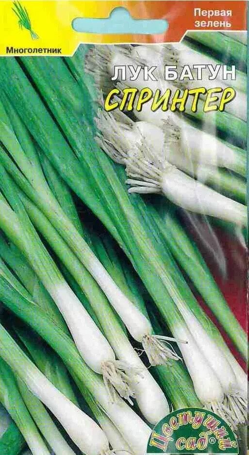 Семена Лука сорт Батун Спринтер