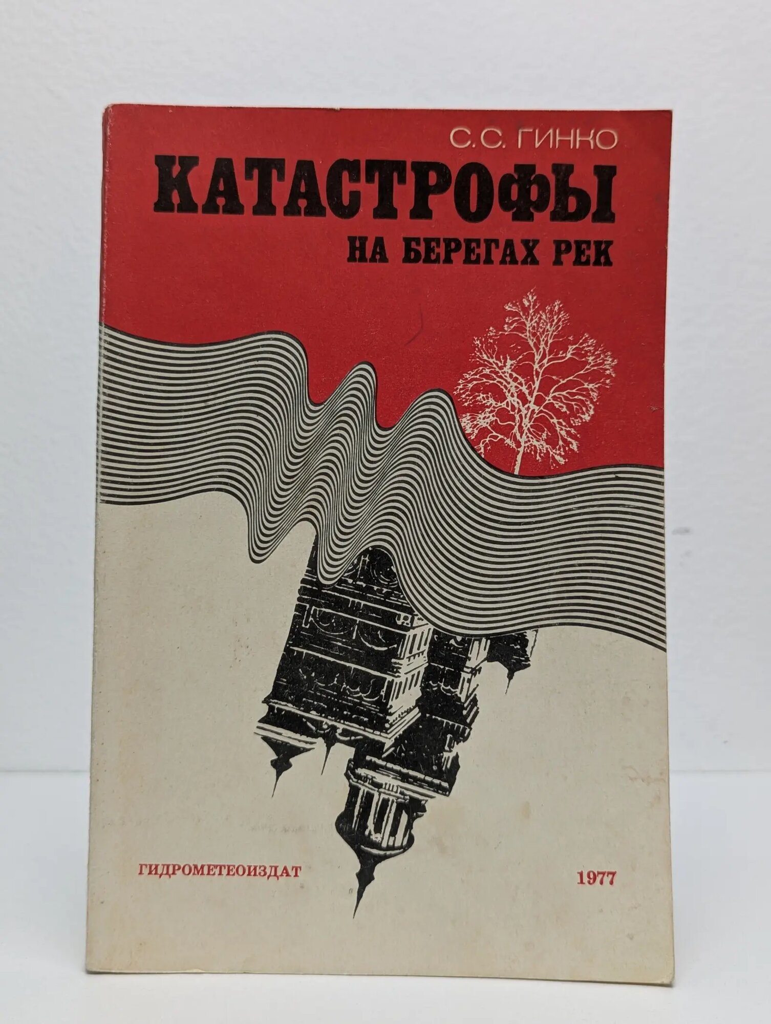 Катастрофы на берегах рек Гинко Сергей Сергеевич 1977