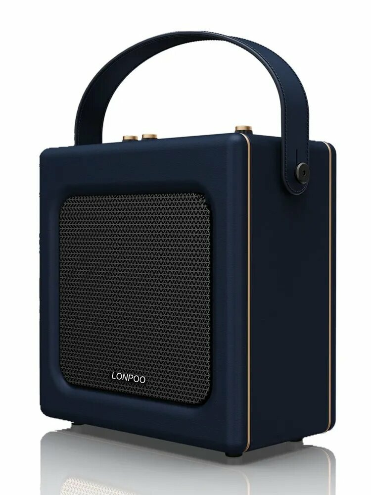 20-ваттная портативная Колонка караоке-система с Bluetooth/USB/AUX, разъемом для микрофона с эхом, встроенным перезаряжаемым аккумулятором на 3600 мАч, компактный стерео динамик