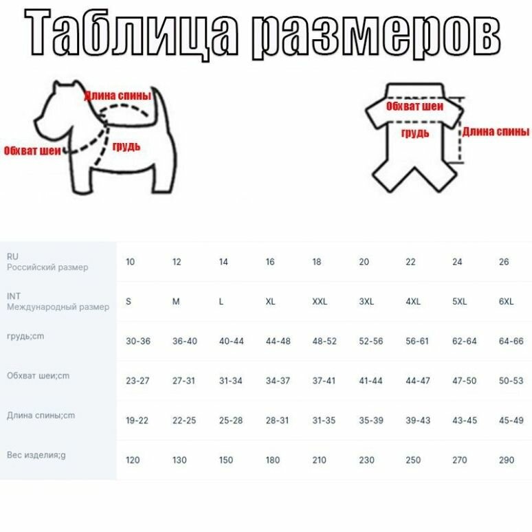 Одежда для животных — фото 1