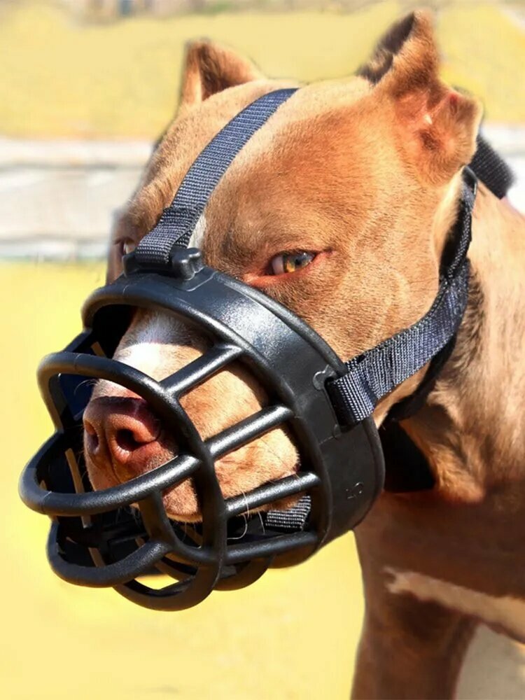 Намордник для собак, маска для собак