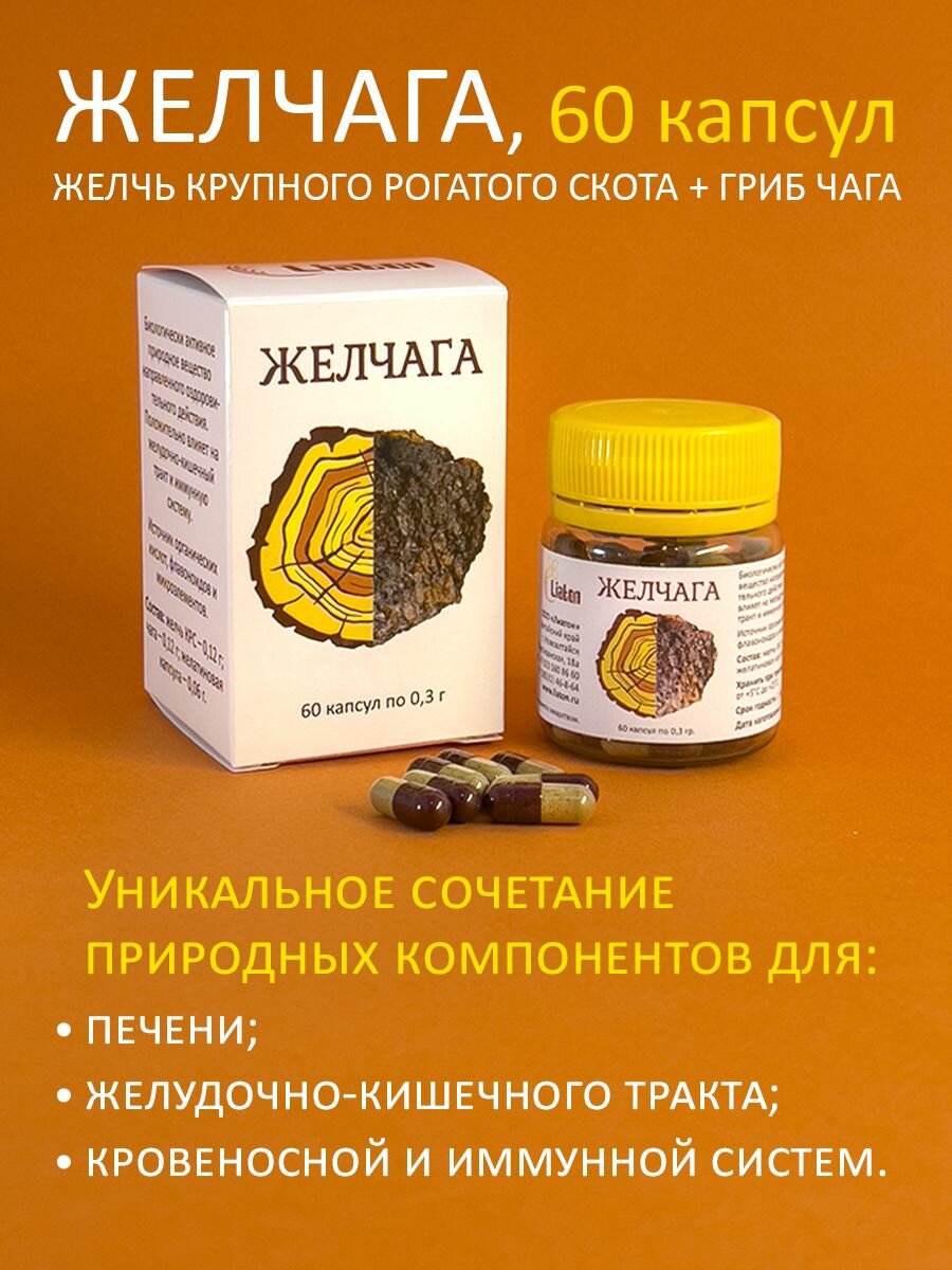 Бычья желчь и гриб Чага, добавка пищевая, 60 капсул