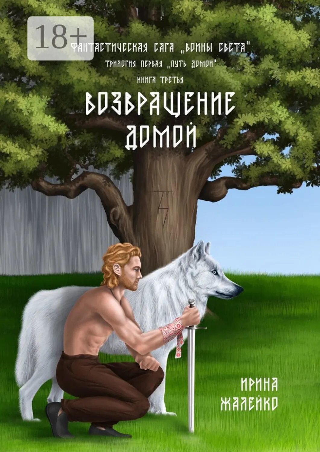 Возвращение домой. Книга третья. Фантастическая сага «Воины света». Трилогия первая «Путь домой» [Цифровая книга]