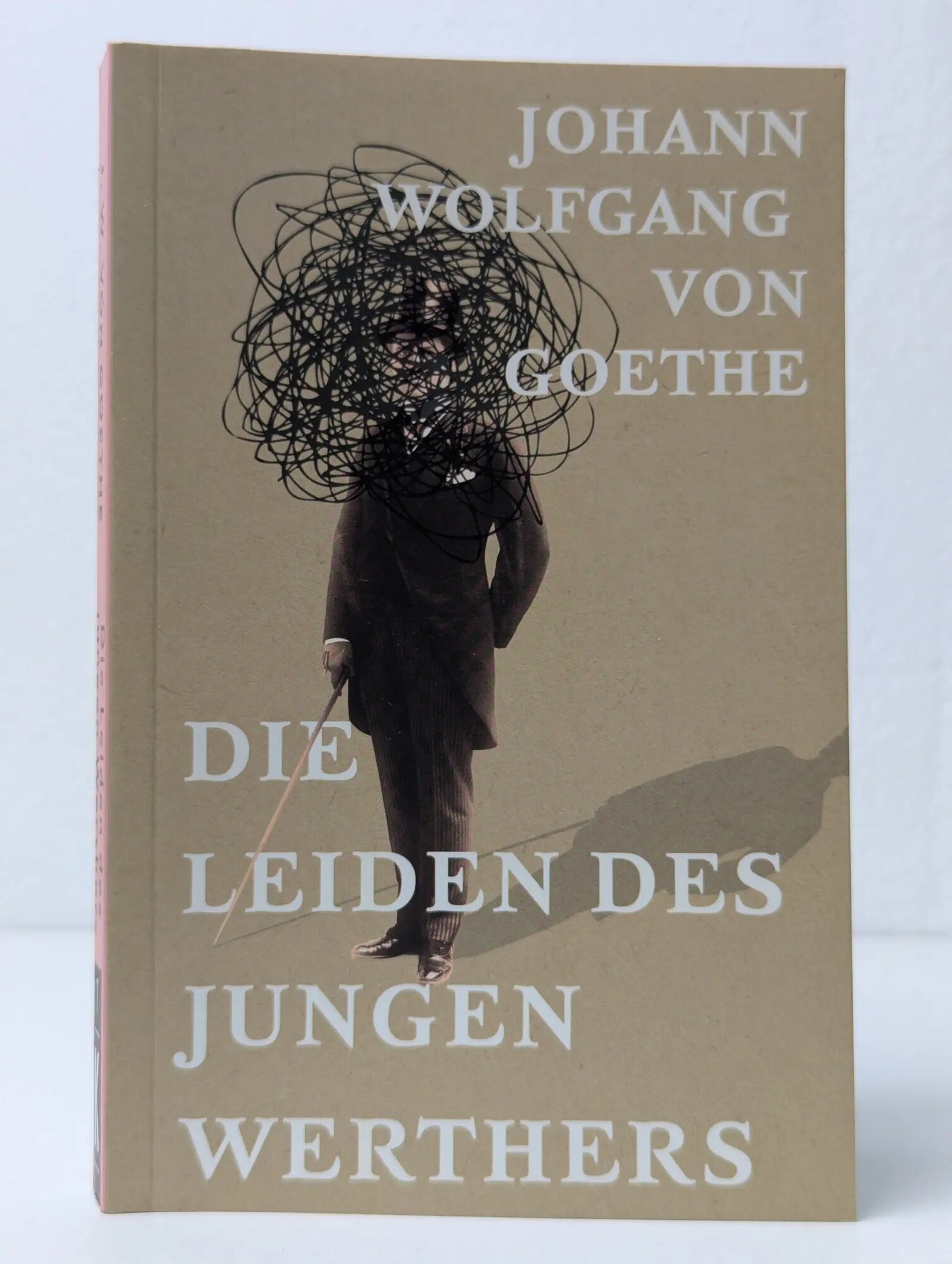 Exklusive Klassik. Taschenbuch. Die Leiden des jungen Werthers. Страдания юного Вертера Гете Иоганн Вольфганг 2023