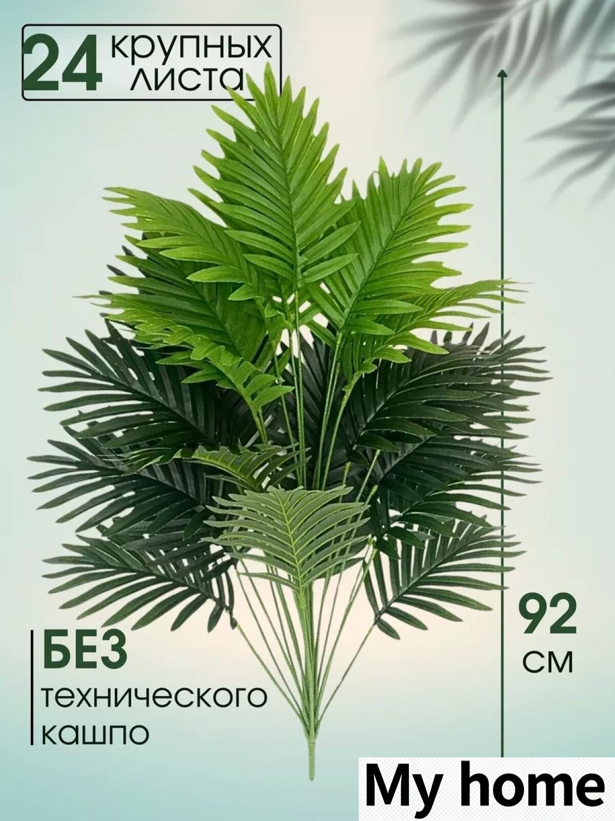 Высокая декоративная пальма