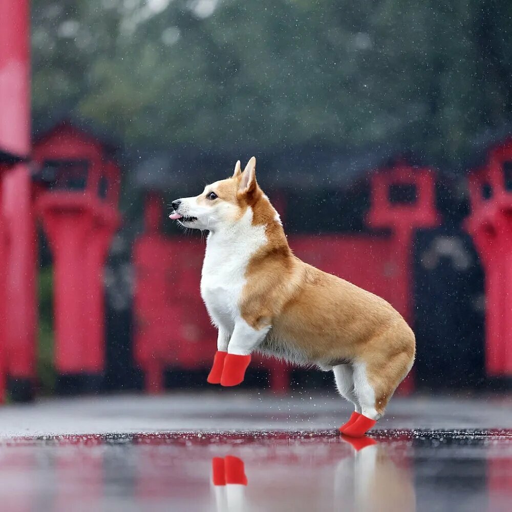 Резиновые Сапоги Для Собак Для Защиты От Грязи 4 Штуки Красных