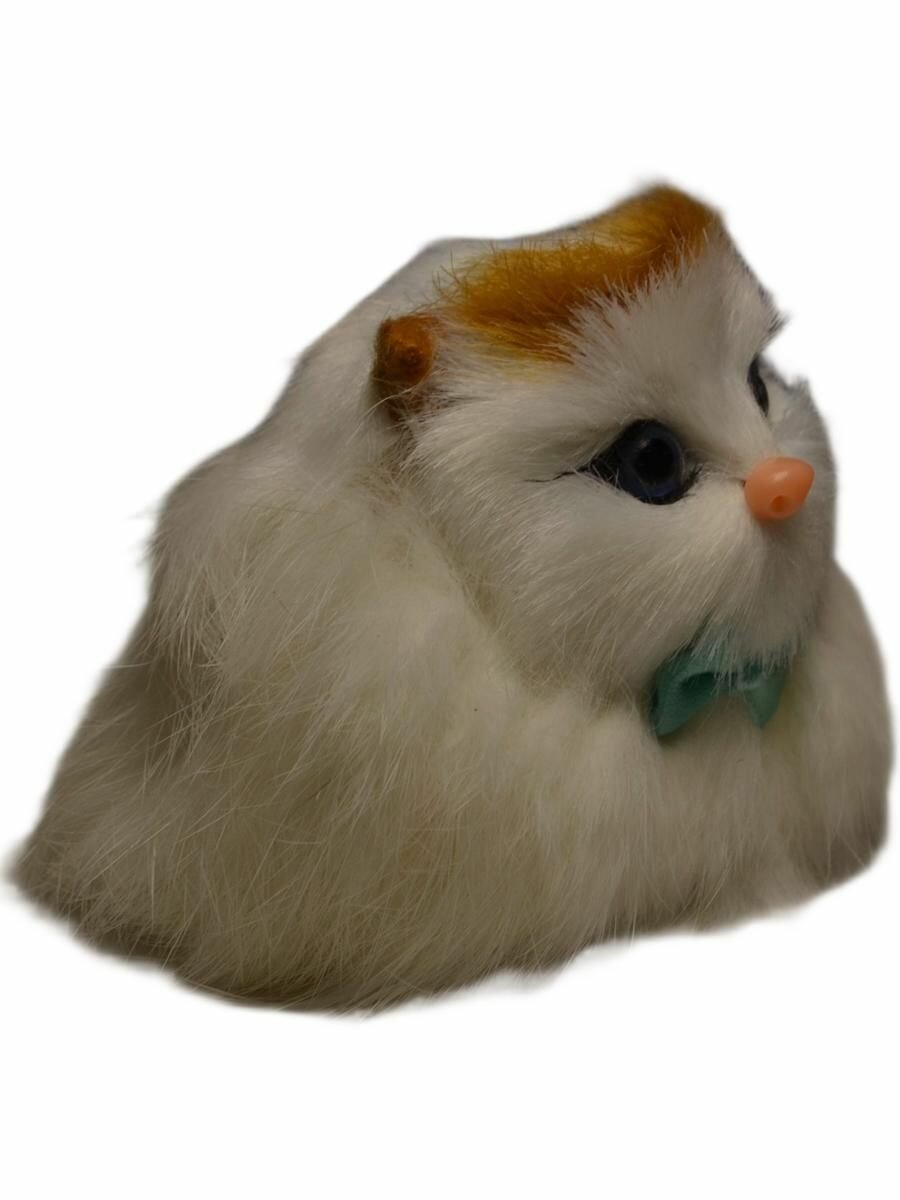 Котёнок