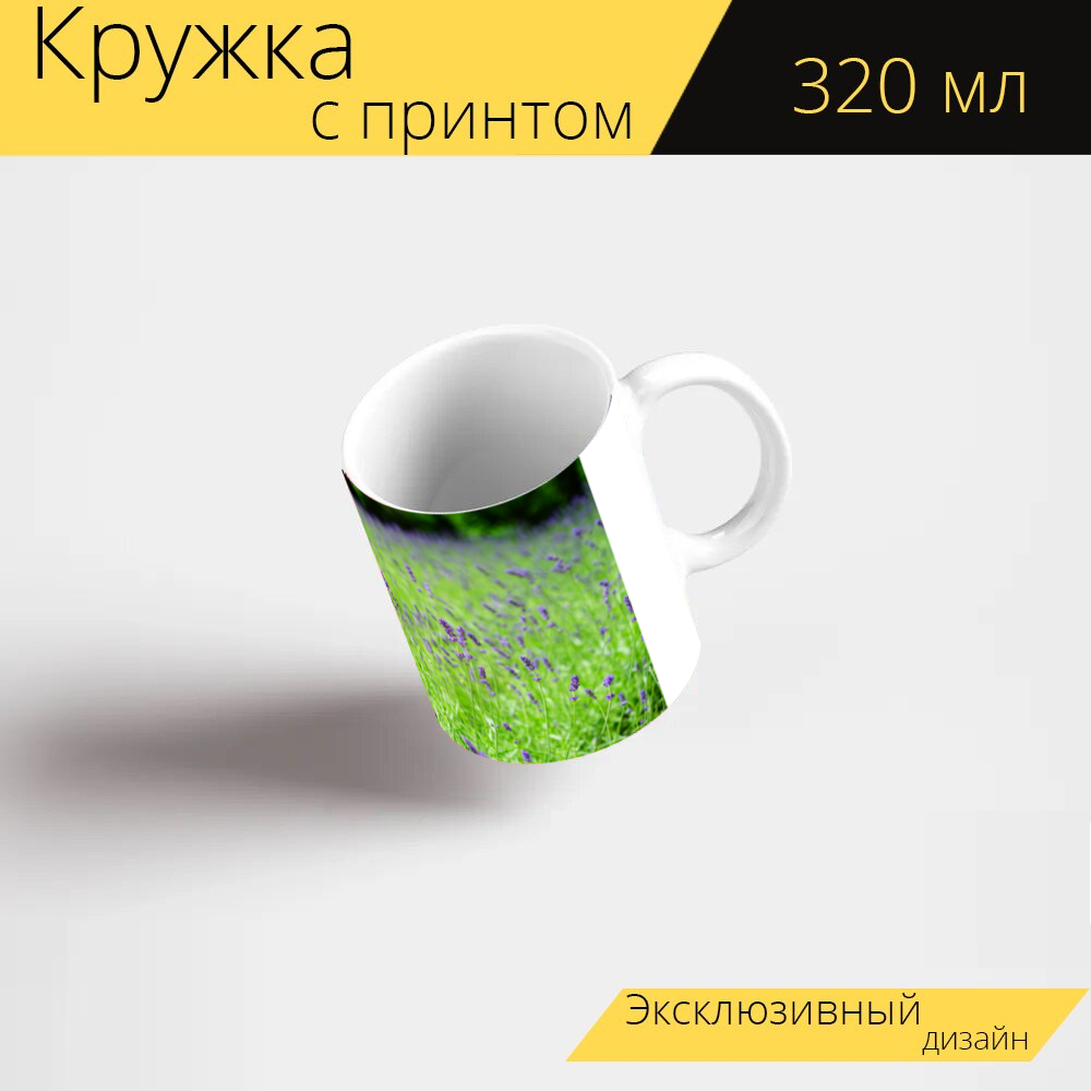 Кружка с рисунком, принтом "Лаванда, сиреневое поле, цветок" 320 мл.