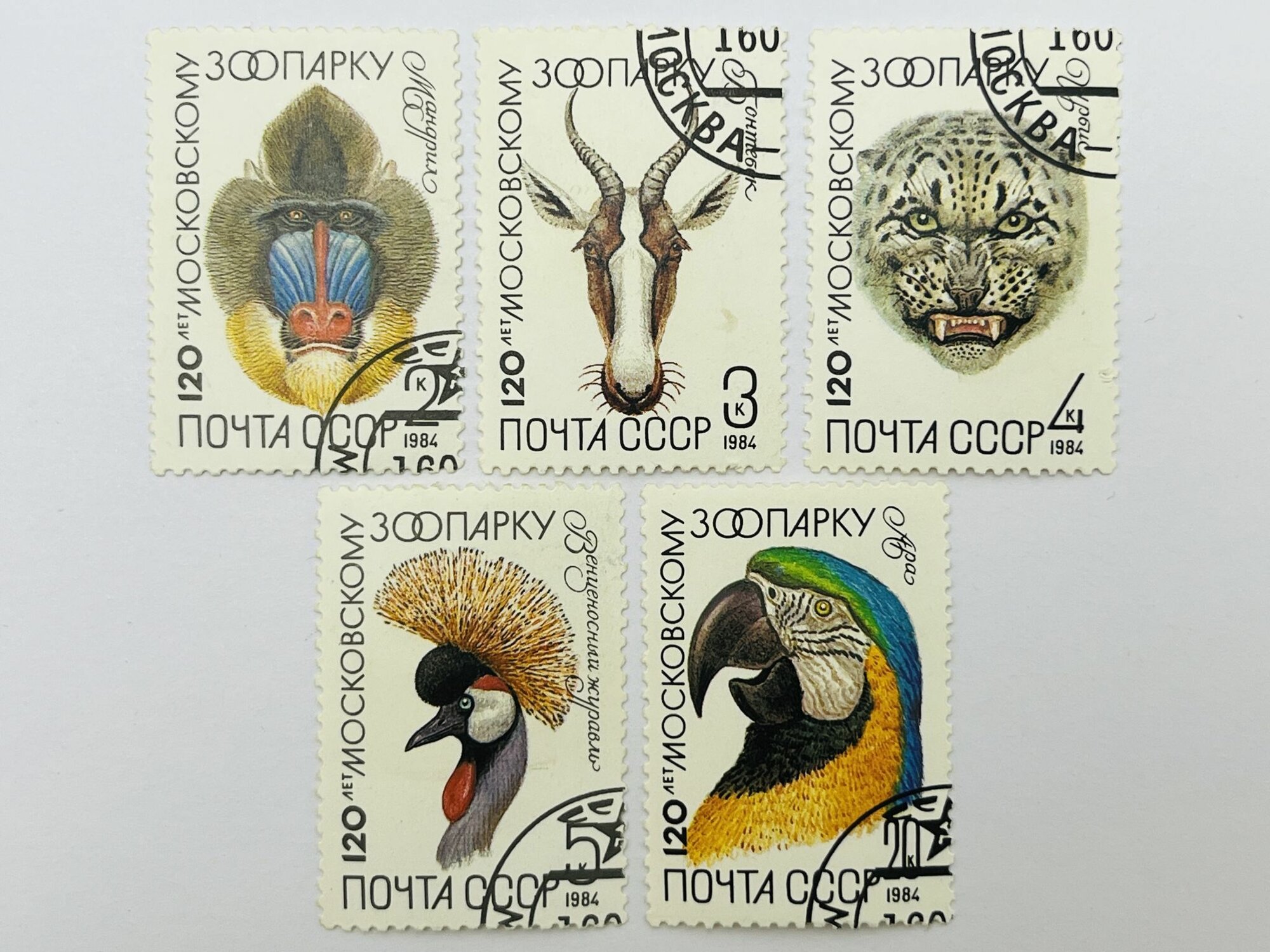 120 лет Московскому зоопарку. Полная серия. Фауна. СССР. 1984. Загорский: 5408-5412. Гашен