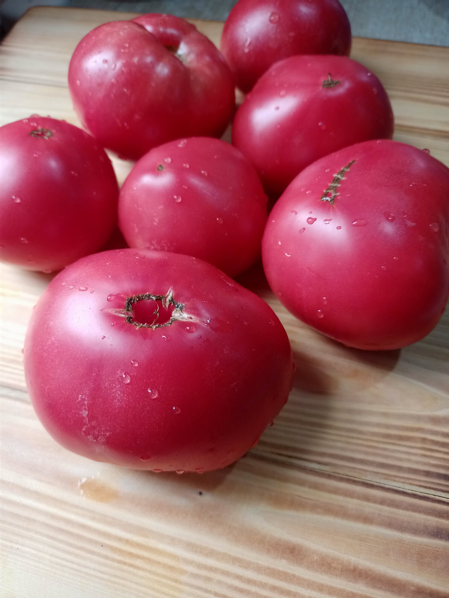 Томат "Кардио". Семена томата 10 штук. Редкий коллекционный сорт.