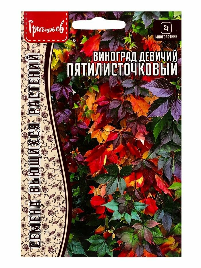 Семена Виноград Пятилисточковый девичий 5 шт. / 12.29 г.