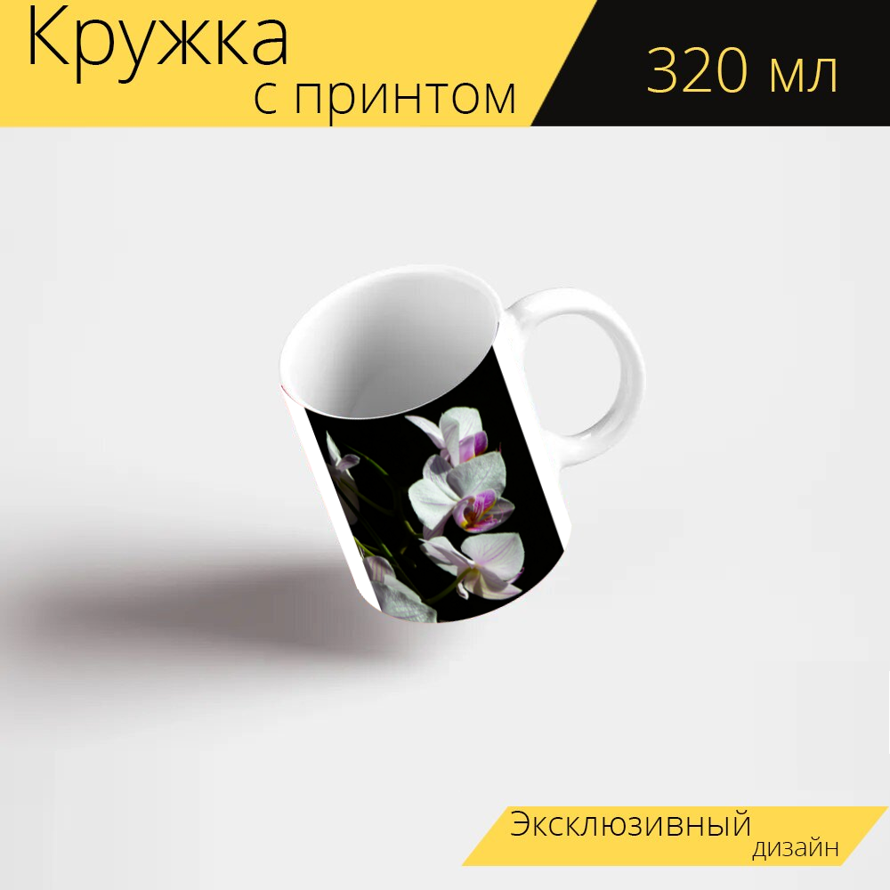 Кружка с рисунком, принтом "Орхидея, бабочки орхидеи, фаленопсис" 320 мл.
