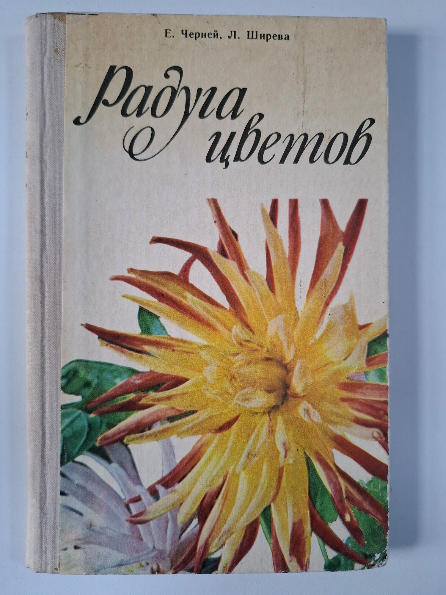 Радуга цветов.