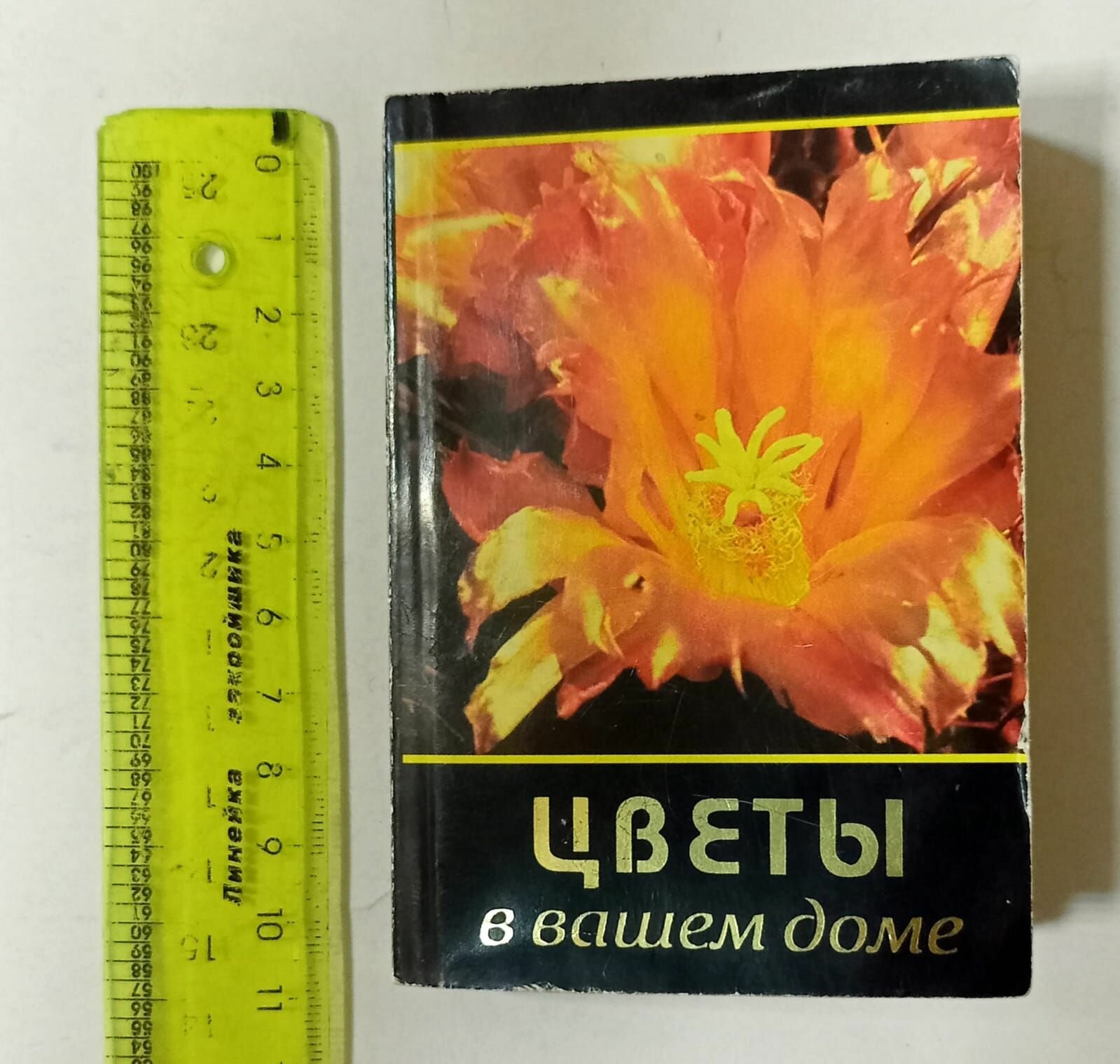Цветы в вашем доме