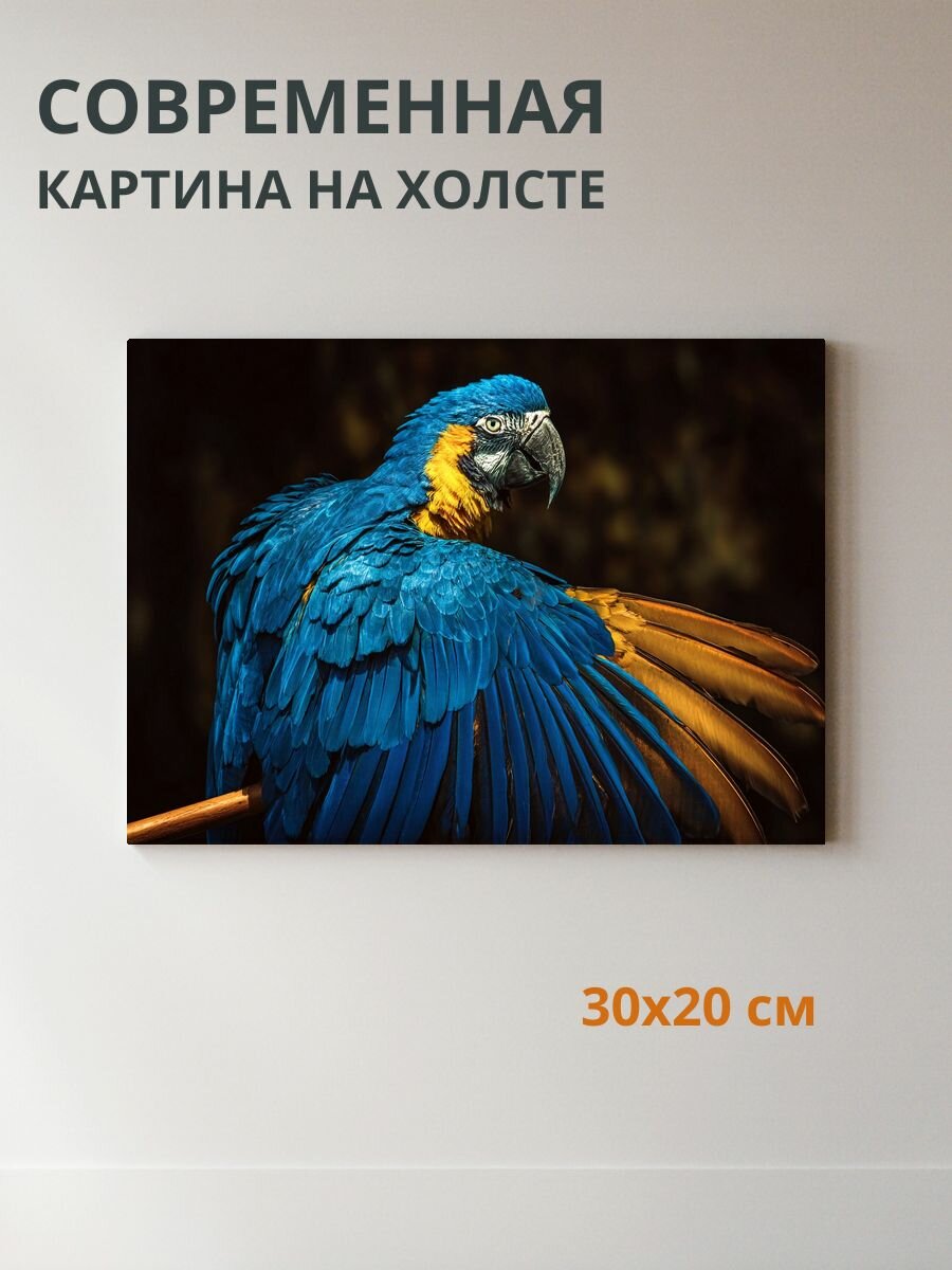 Картина на холсте Синий попугай 30x20 см