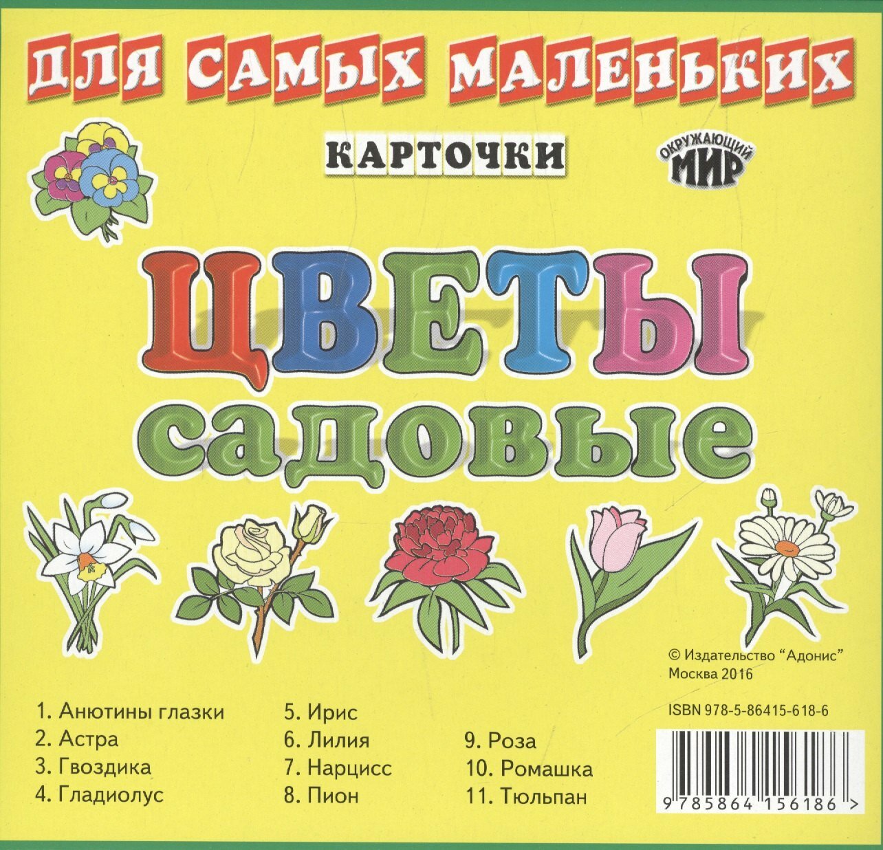 Карточки Цветы садовые