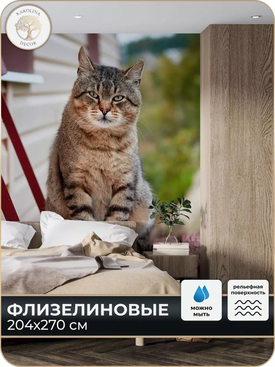Фотообои Кот Дизайнерские в спальню в комнату 200х270