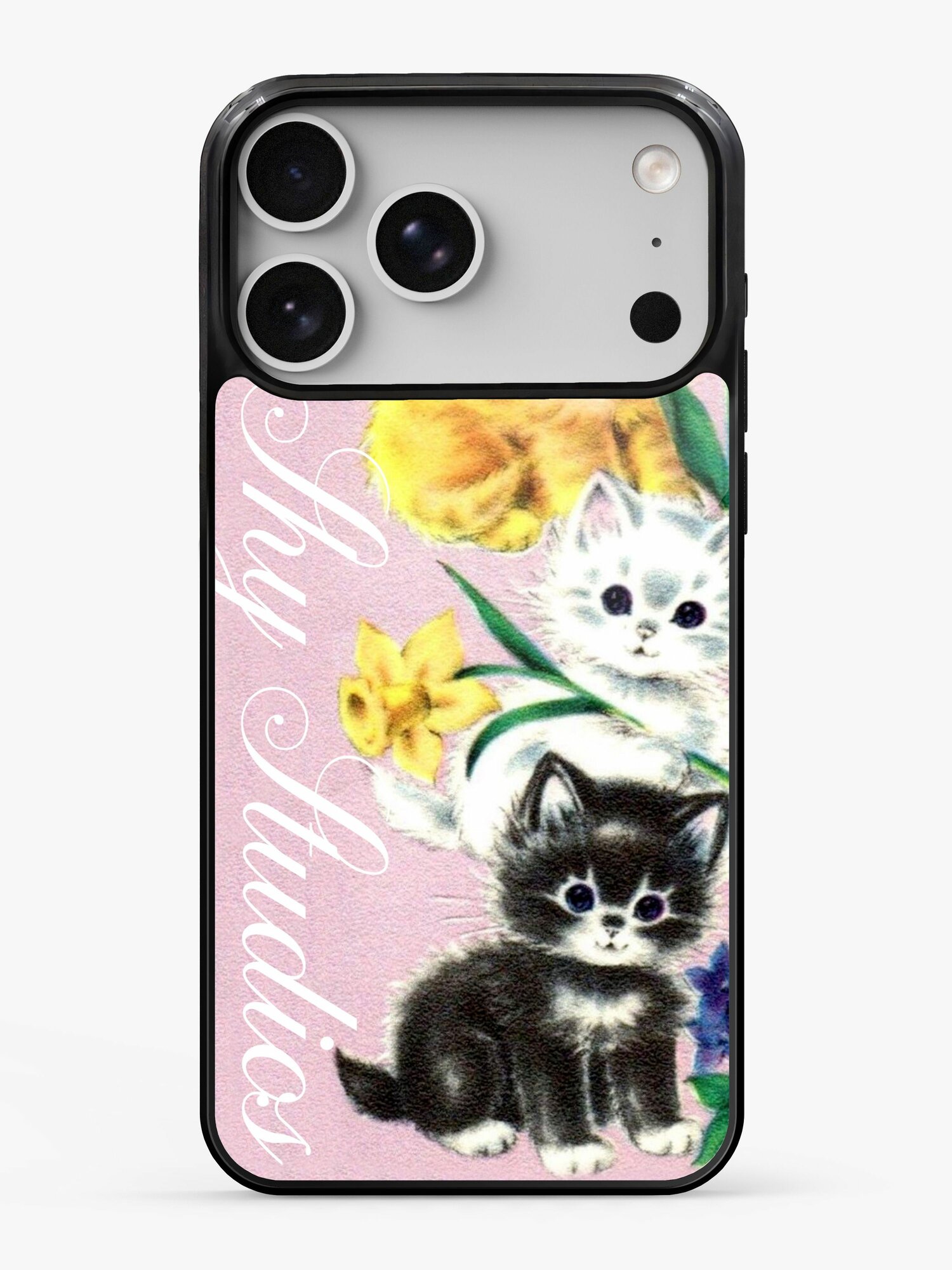 Чехол на iPhone 17 Pro Max от Shy Studios - Valentine Pussies