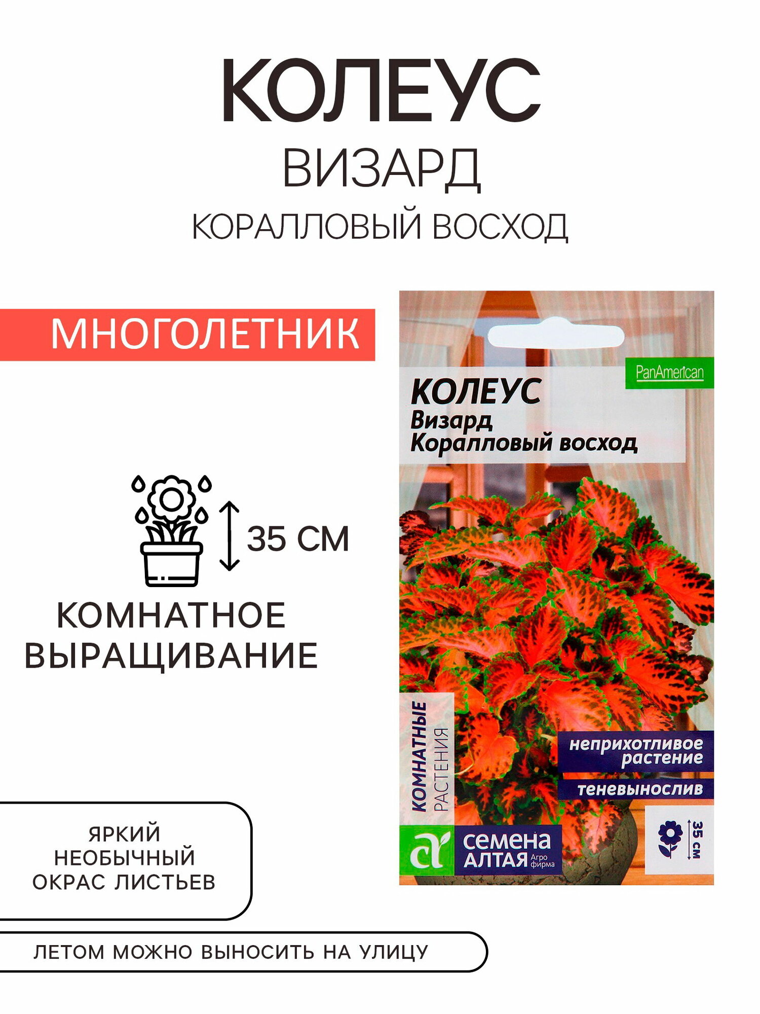 Семена комнатных цветов Колеус "Коралловый Восход", 5 шт, цветение период: август