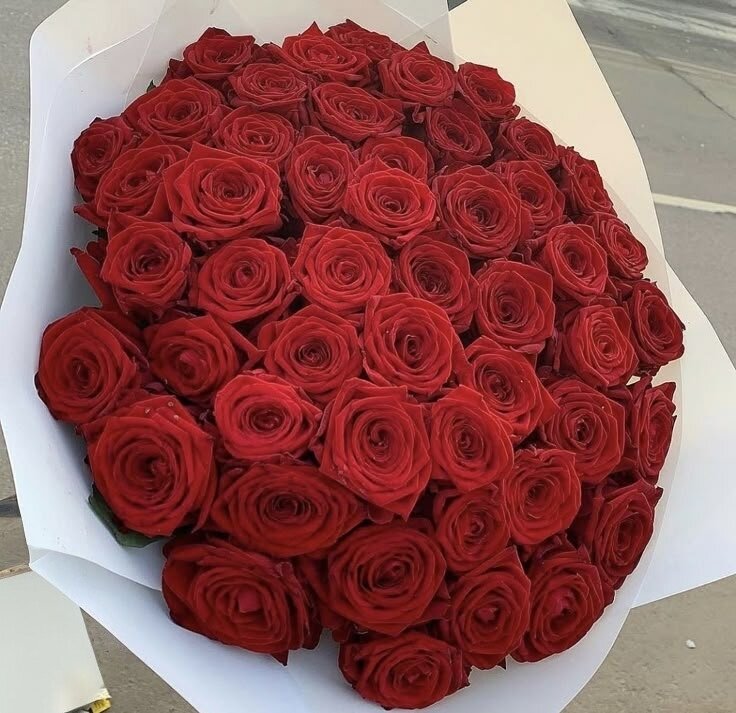 Букет из красных роз 51 шт, красивый букет цветов, шикарный, премиум цветы, премиум букет