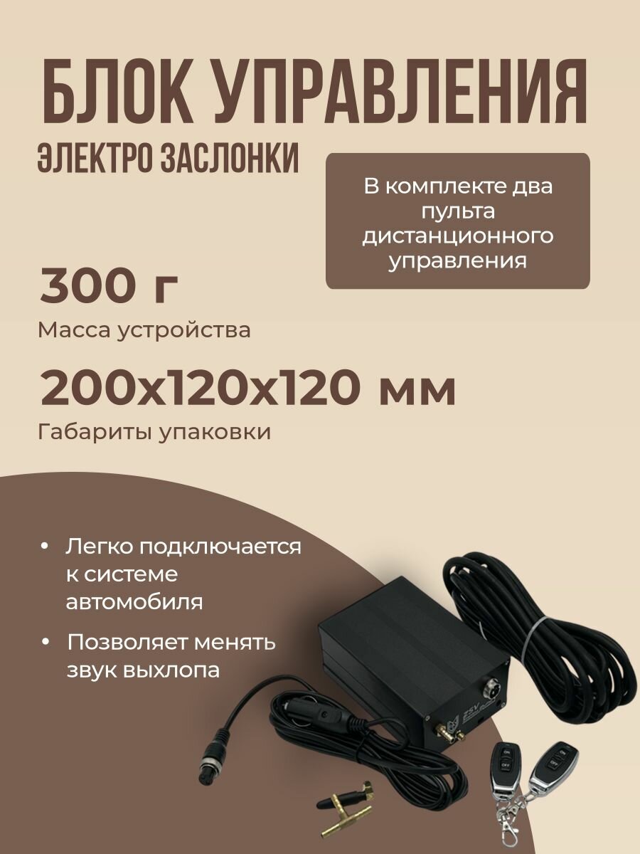 Блок управления электро заслонки (с пультом)