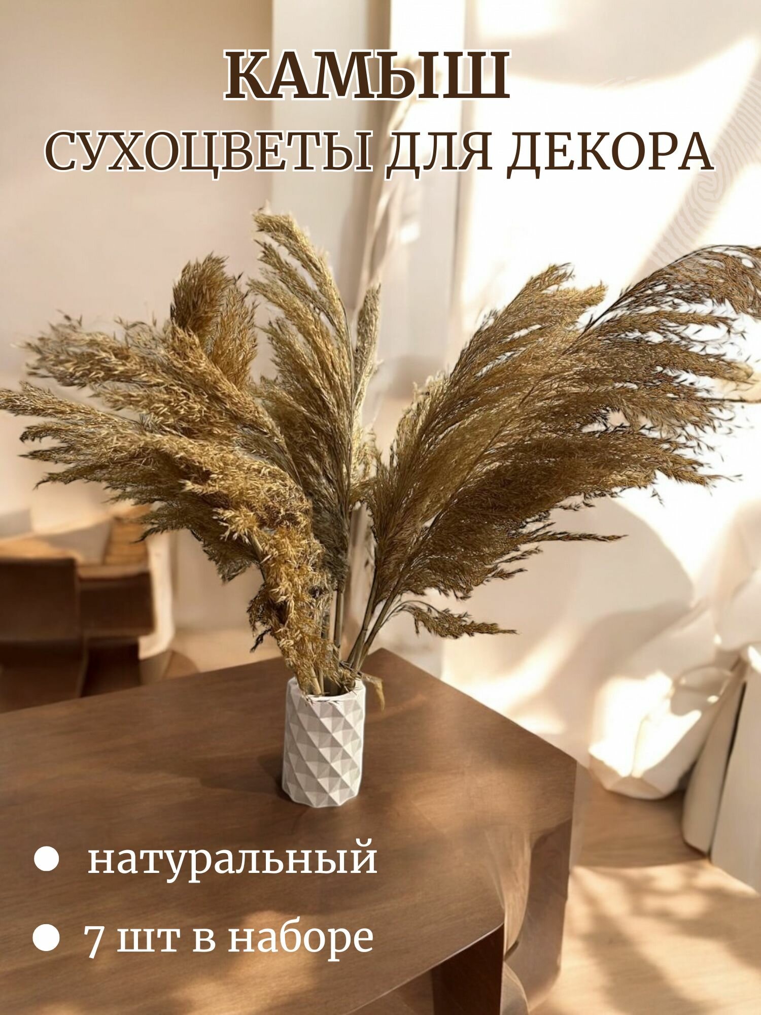 Камыш натуральный, сухоцветы для декора интерьера