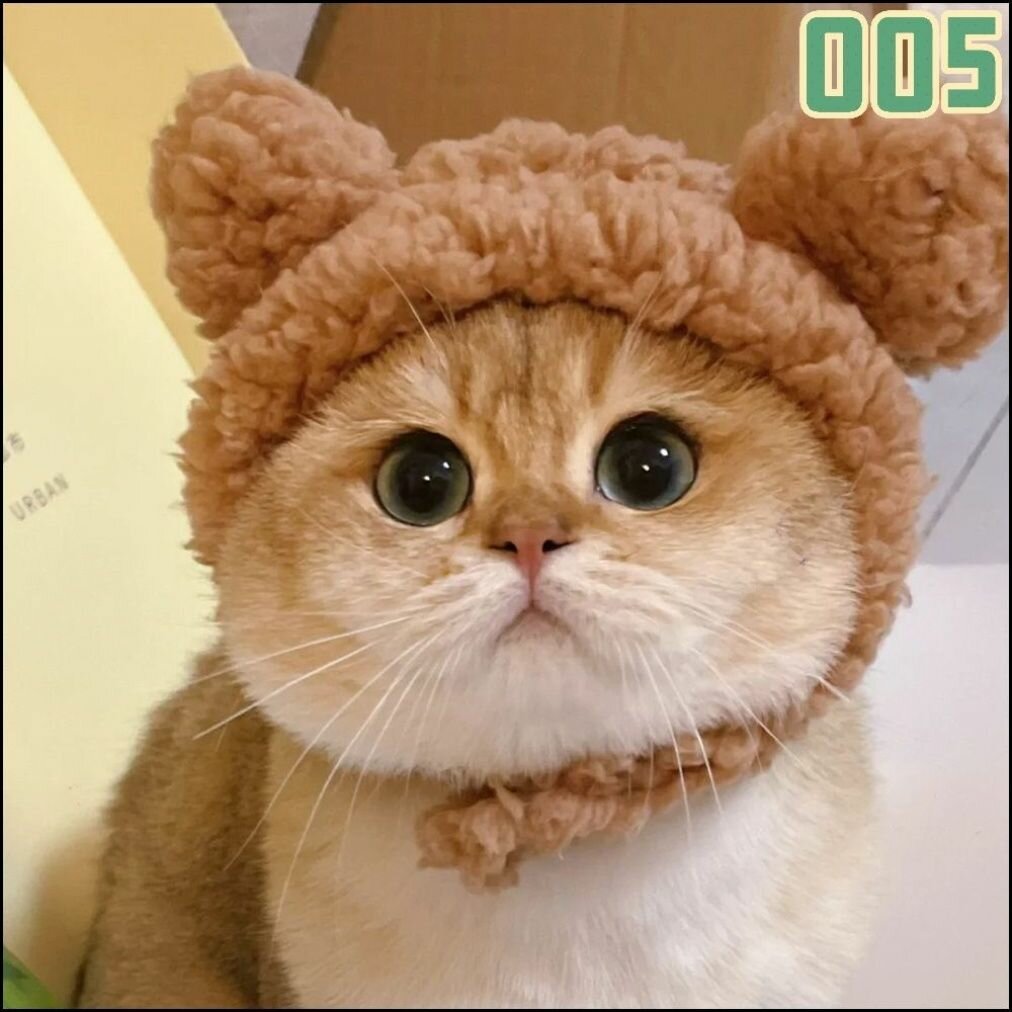 Бестселлер для питомцев, ушки кошкам и собакам