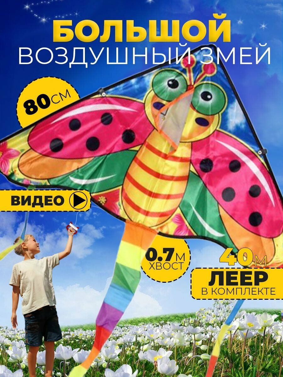 Воздушный Змей для ребенка большой