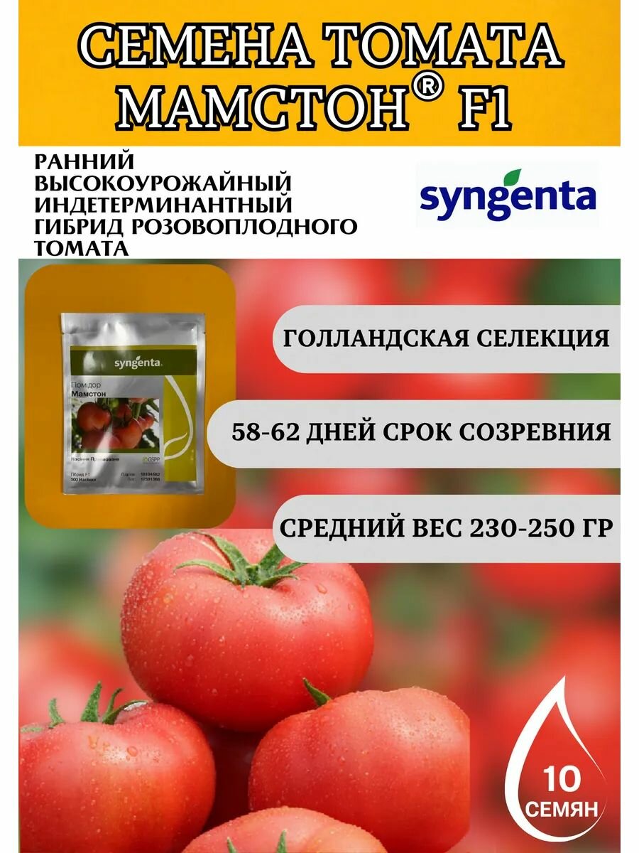 Семена томата Мамстон F1 Syngenta 10 штук профессиональные семена