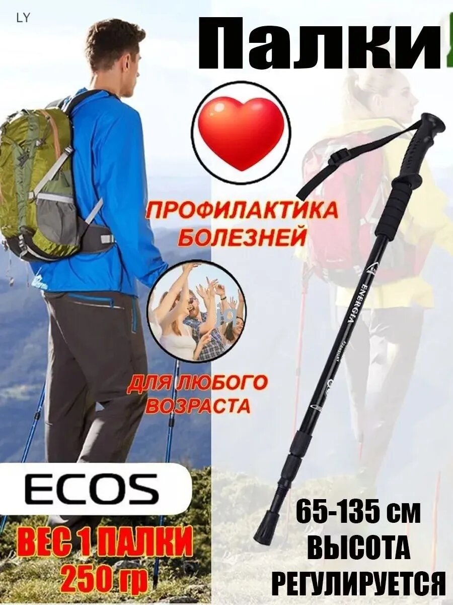 Палки для скандинавской ходьбы
