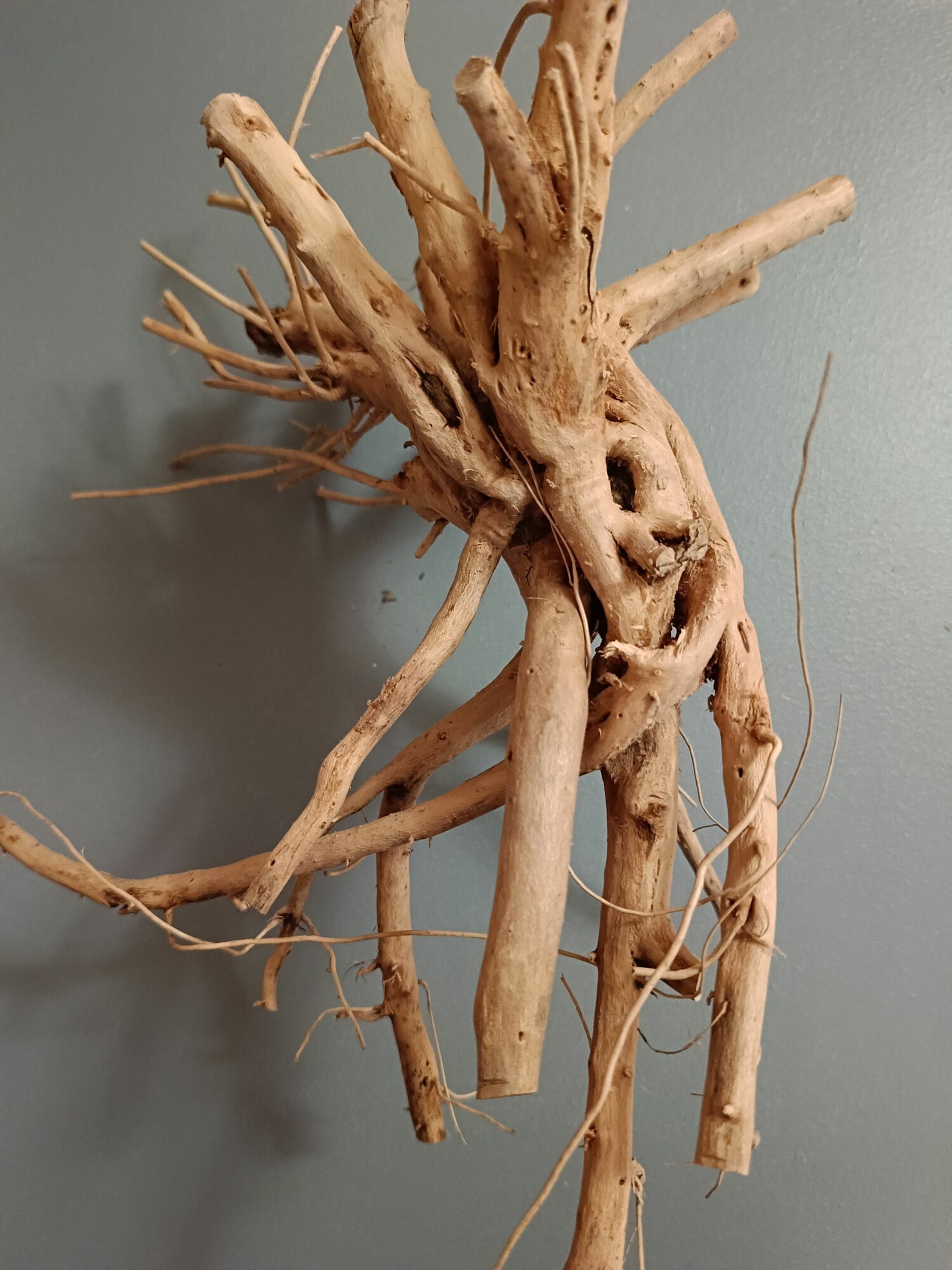 Декорация для аквариума/террариума