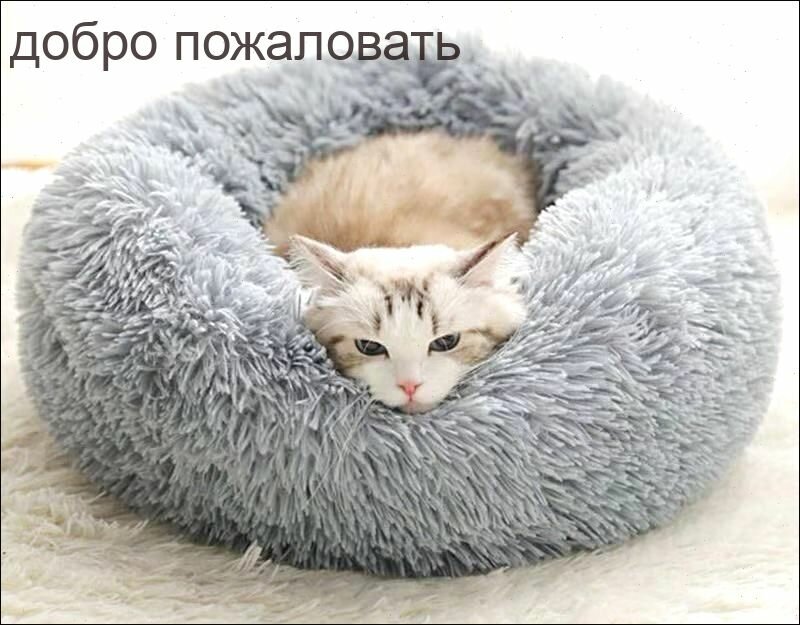 Лежанка экомех премиум, подстилка для кошек и собак мелких и средних пород с мехом, лежак для животных с бортиками, матрасик 45 x 35 см