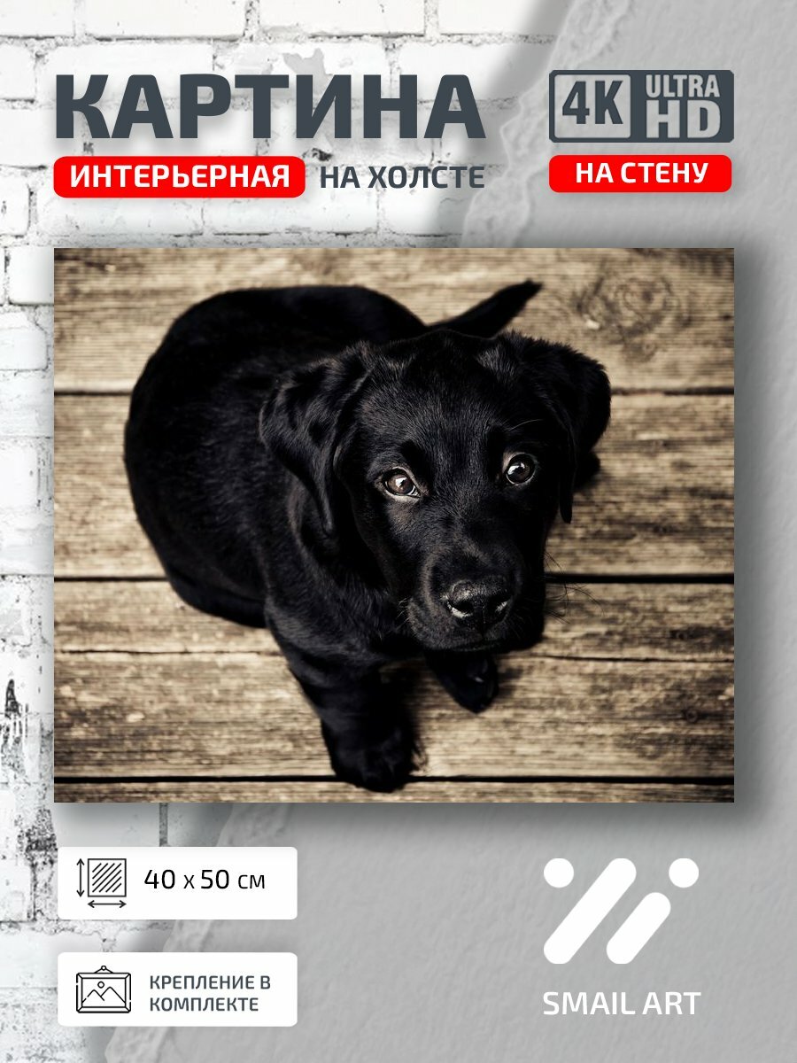 Картина на холсте интерьерная 40 на 50 на стену Щенок Animal для детской animal style декор