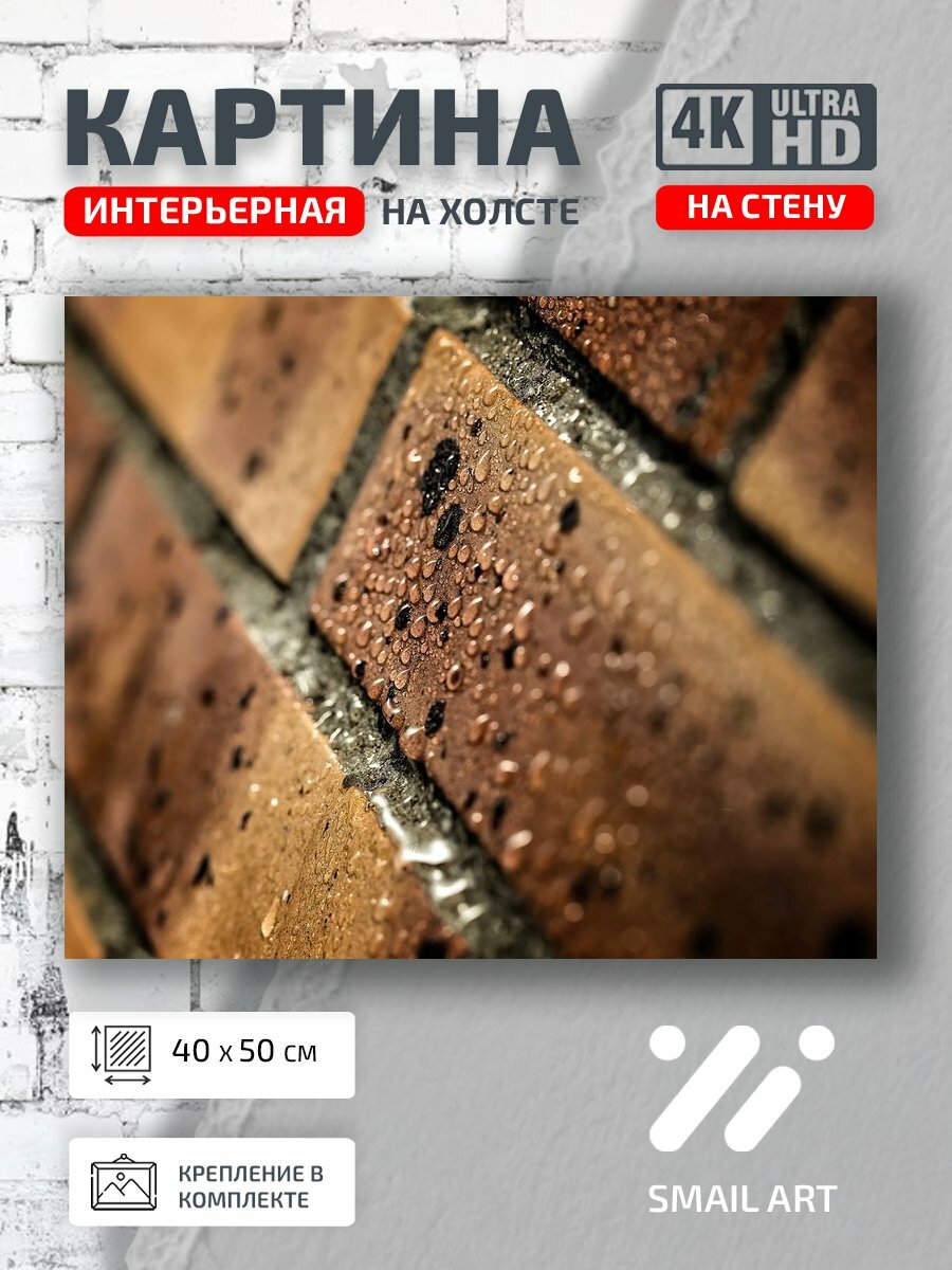 Картина на холсте интерьерная 40 на 50 на стену Капли Macro для студии макро интерьер декор