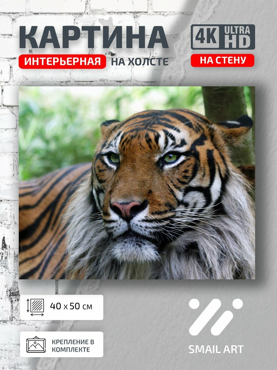 Картина на холсте интерьерная 40 на 50 на стену Джунглях Animal для детской animal style