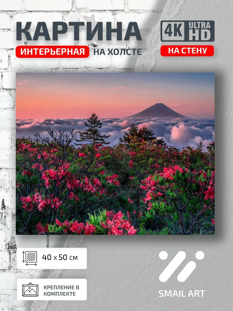 Картина на холсте интерьерная 40 на 50 на стену Гора Landscape для кафе пейзаж интерьер