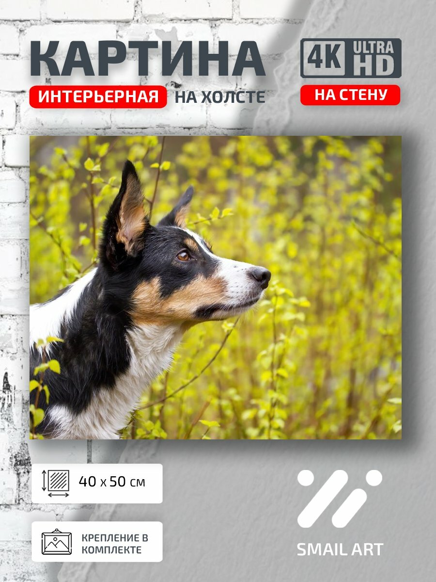 Картина на холсте интерьерная 40 на 50 на стену Листья Mood для спальни атмосфера интерьер