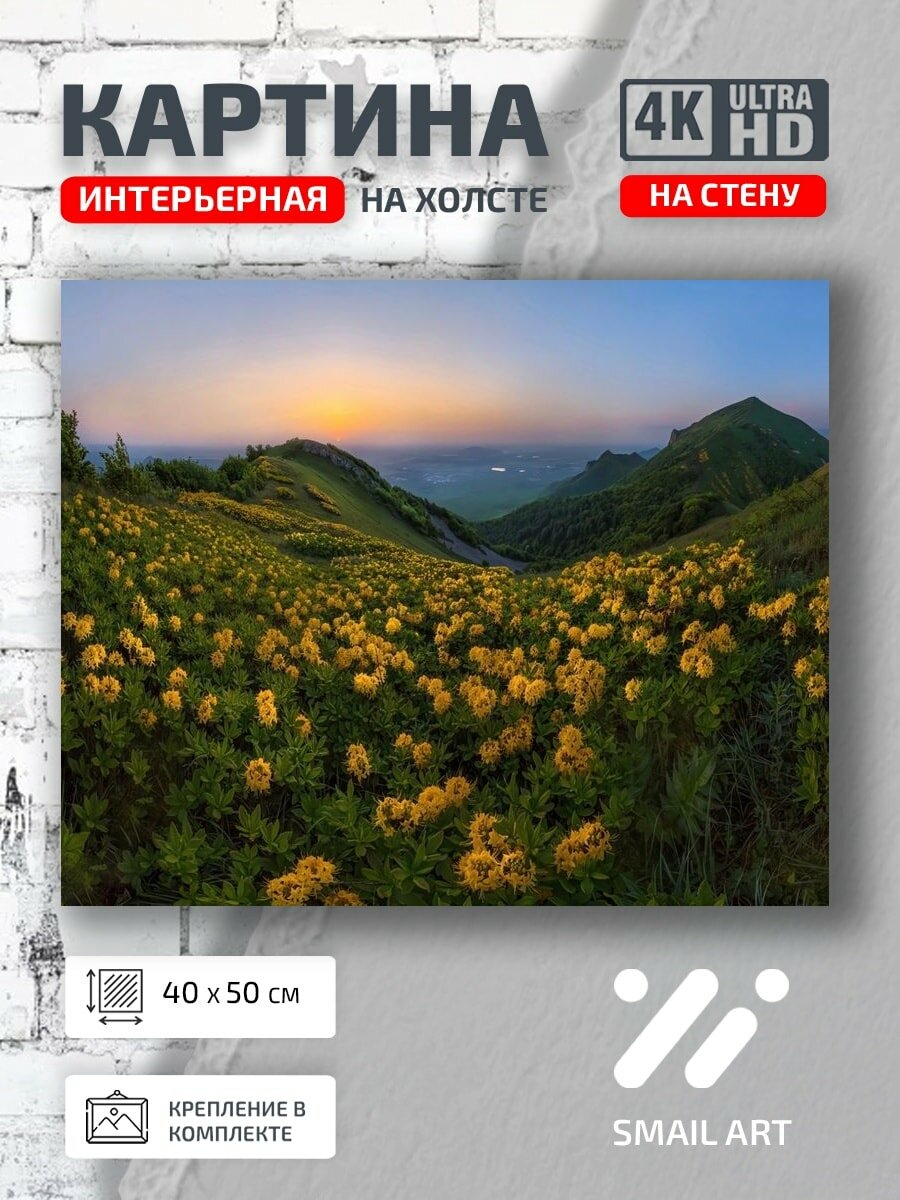 Картина на холсте интерьерная 40 на 50 на стену Пейзаж Бештау для офиса атмосфера